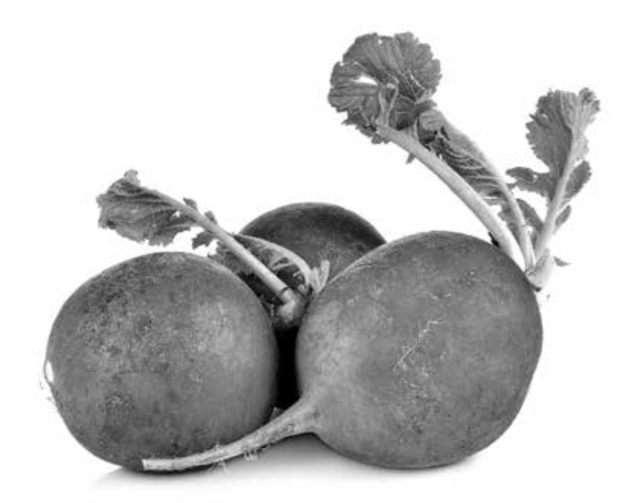 Radiesliblätter ohne Löcher